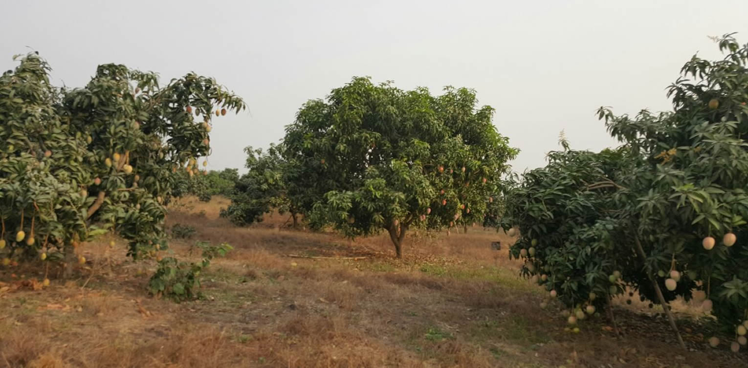 GLAHCO – Ghana Libyan-Arab Holding Company